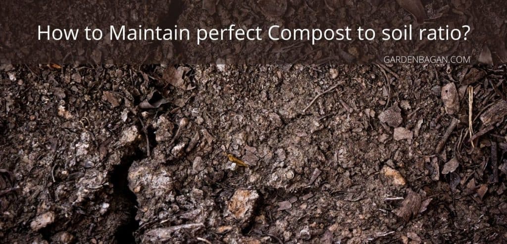 How to Maintain perfect Compost to soil ratio? - Garden Bagan
