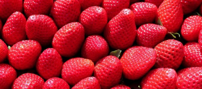 Which Fruits Develop seeds on the Outside? - Garden Bagan